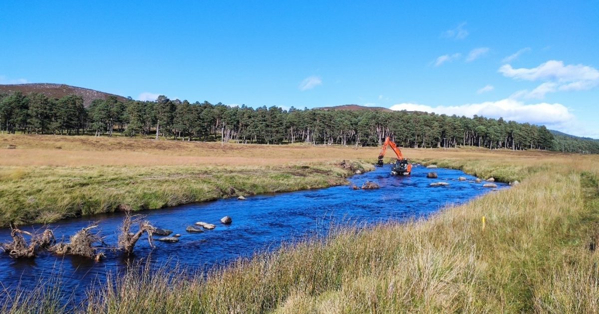 Large Wooden Structure Installation & River Restoration | CRC